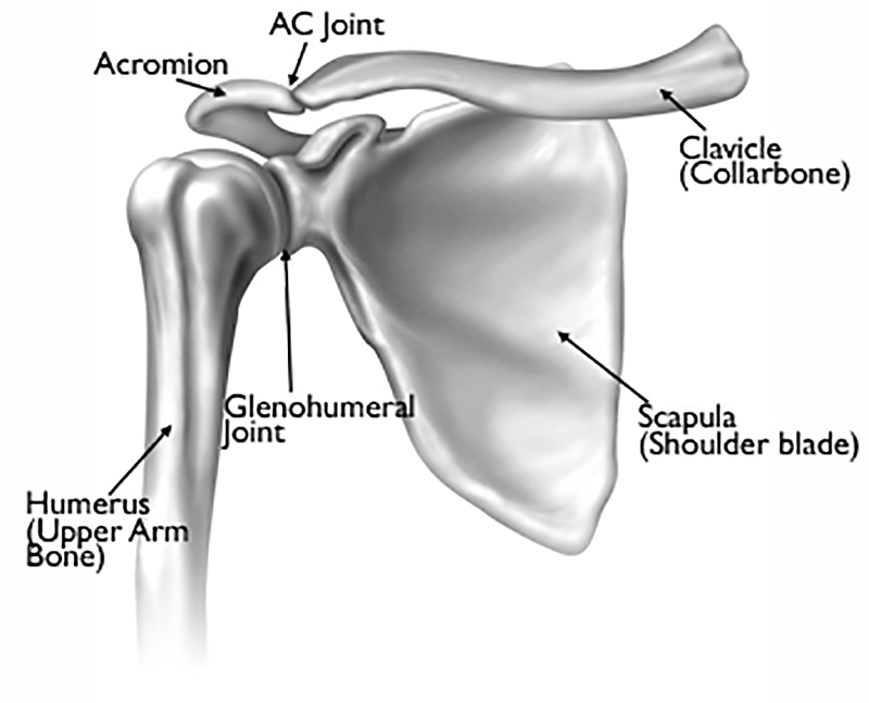 Impingement of the Shoulder - JOI Jacksonville Orthopaedic Institute
