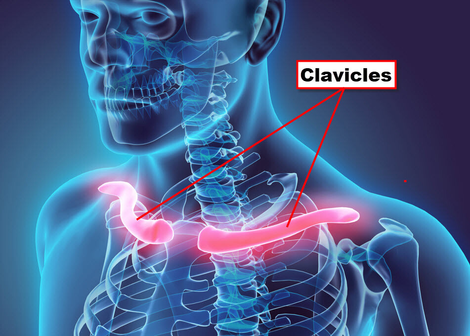 Sternum Pain: Causes, Symptoms, and Treatment Options - JOI ...