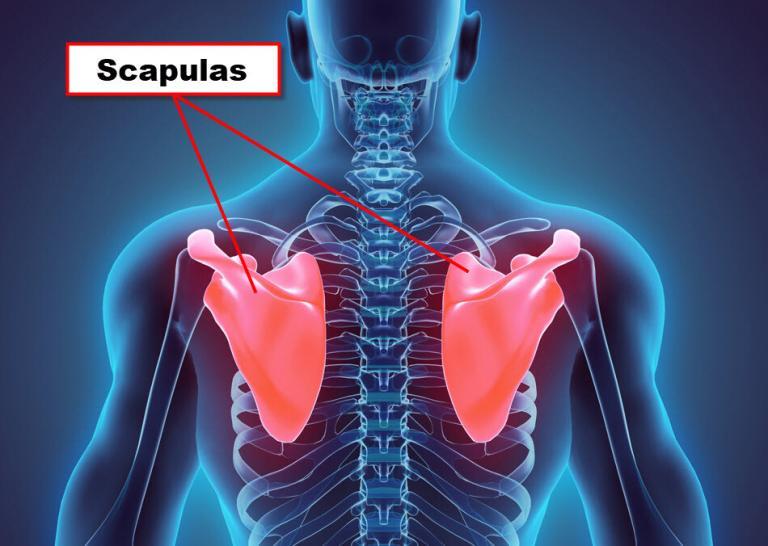 Sternum Pain: Causes, Symptoms, and Treatment Options - JOI ...