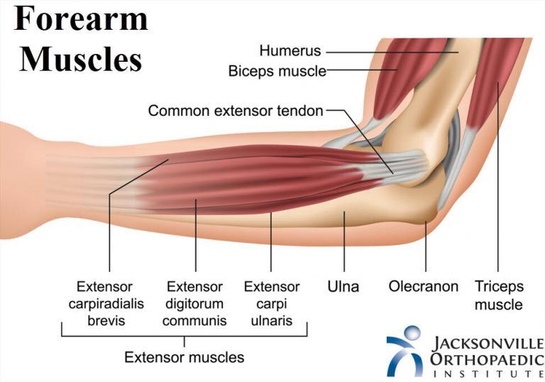 Top 5 Wrist Exercises - JOI Jacksonville Orthopaedic Institute