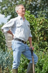 Gardening Injuries - JOI Jacksonville Orthopaedic Institute