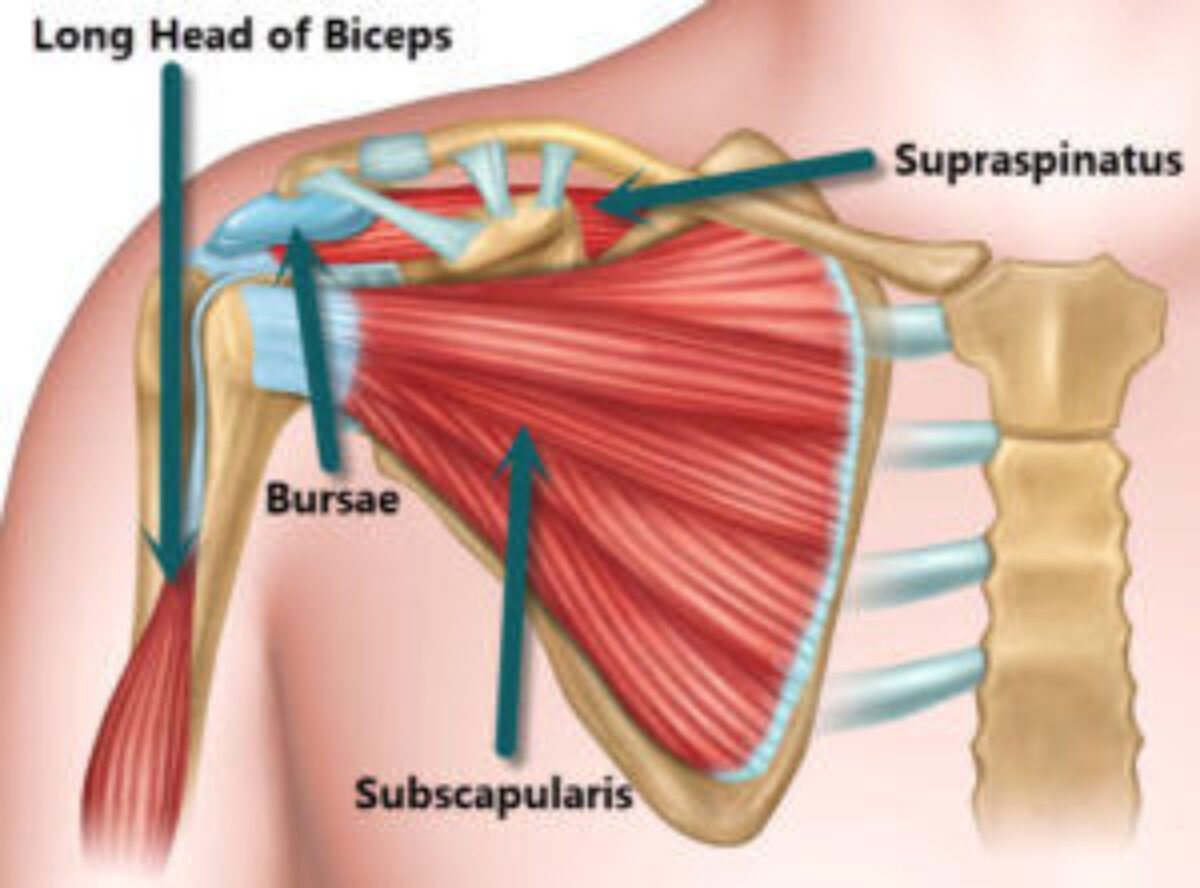 Internal And External Rotator Cuff Exercises