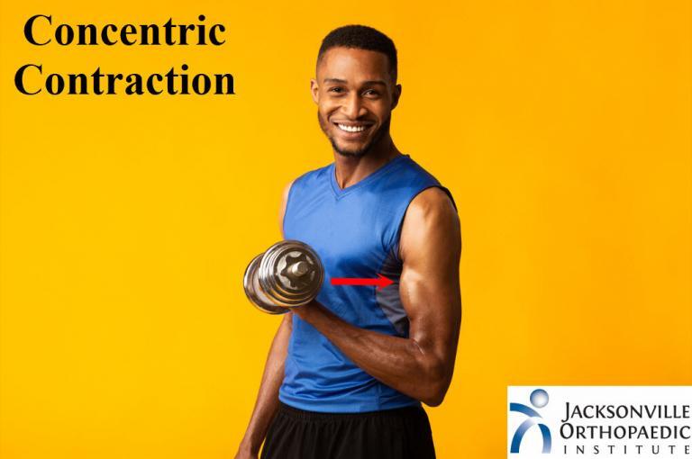 Concentric vs. Eccentric Contractions - JOI & JOI Rehab