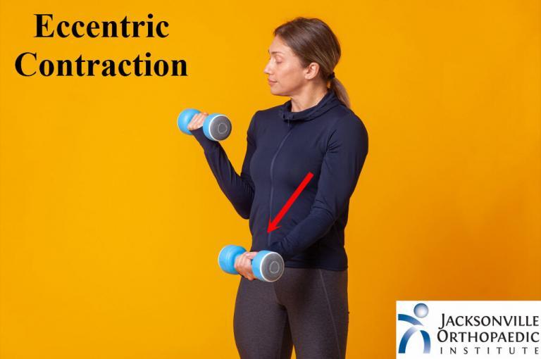 Concentric vs. Eccentric Contractions - JOI & JOI Rehab