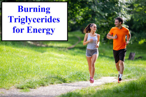 Triglycerides: Diet and Activity - Jacksonville Orthopaedic Institute