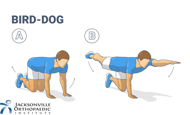 Hip Bursitis - JOI Jacksonville Orthopaedic Institute