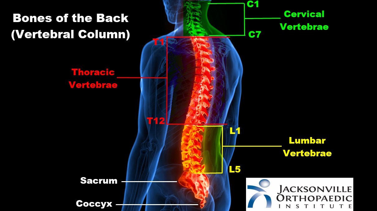 Imaging for Back Pain - JOI Jacksonville Orthopaedic Institute